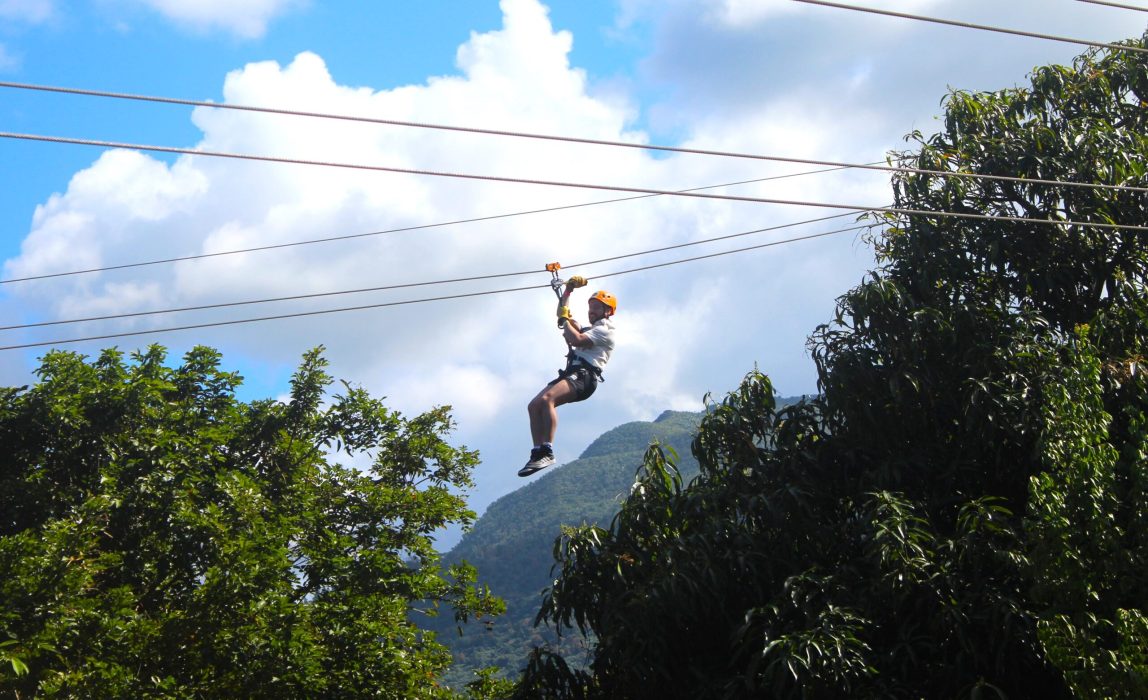 Rainforest Zipline Experience | Rainforest Zipline